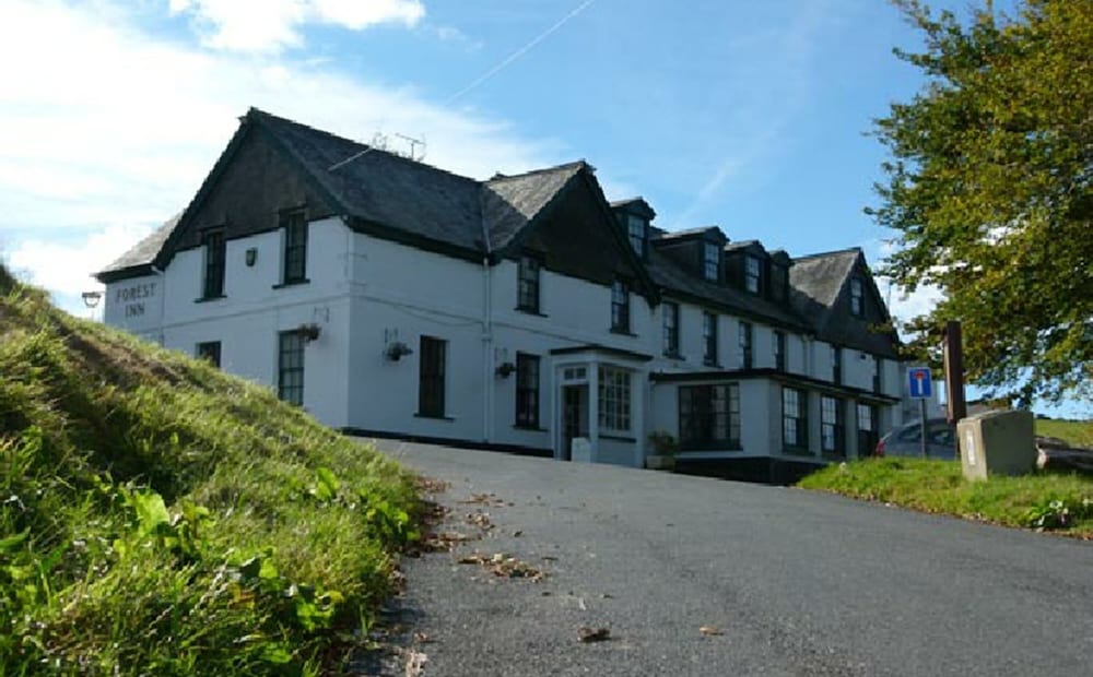 The Forest Inn in | 2024 Updated prices, deals - Klook United States