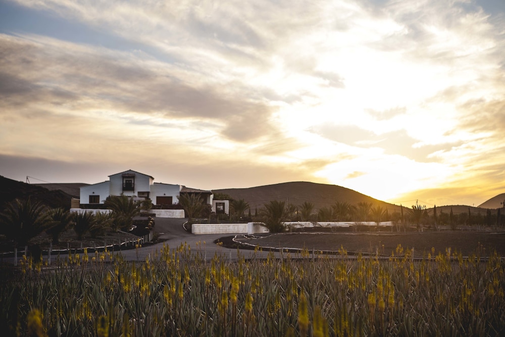 Casas Pilar, Aurora y Tarabilla en finca ecológica in Antigua | 2024 ...