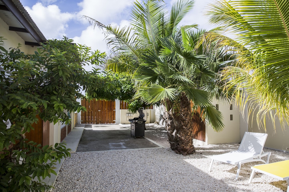 Little Cactus Apartments Aruba in | 2024 Updated prices, deals - Klook ...