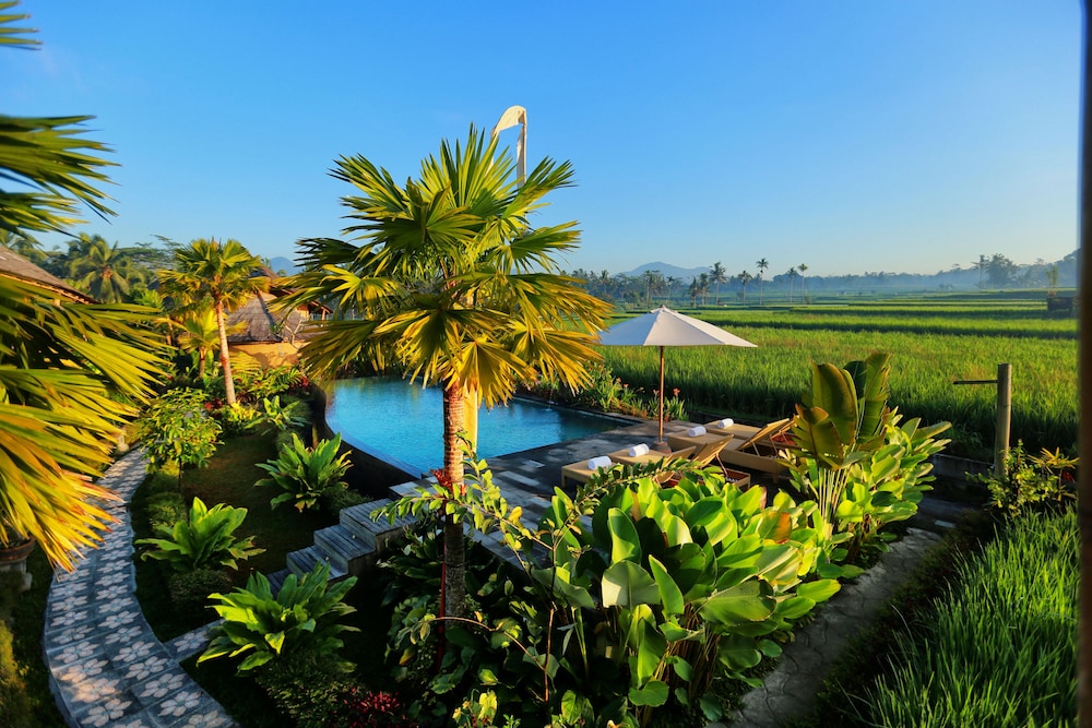 Padi Bali Eco Villas in Tegallalang | 2023 Updated prices, deals ...