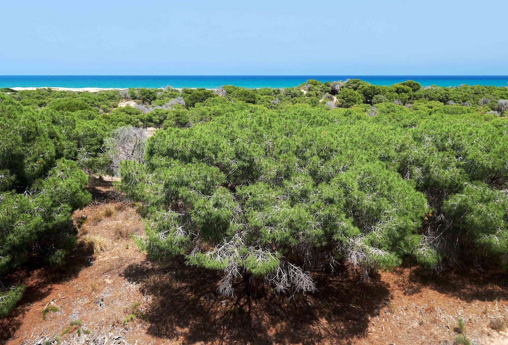 Espanhouse Isabel in Guardamar del Segura | 2023 Updated prices, deals ...