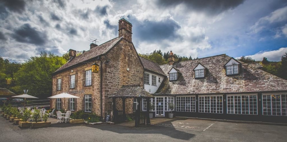 The Wild Hare in | 2025 Updated prices, deals - Klook United States