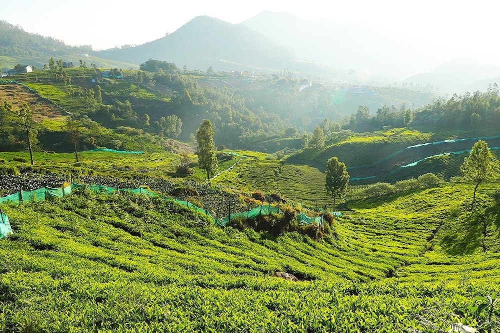 Logan Camp Ooty in Ooty | 2024 Updated prices, deals - Klook United States