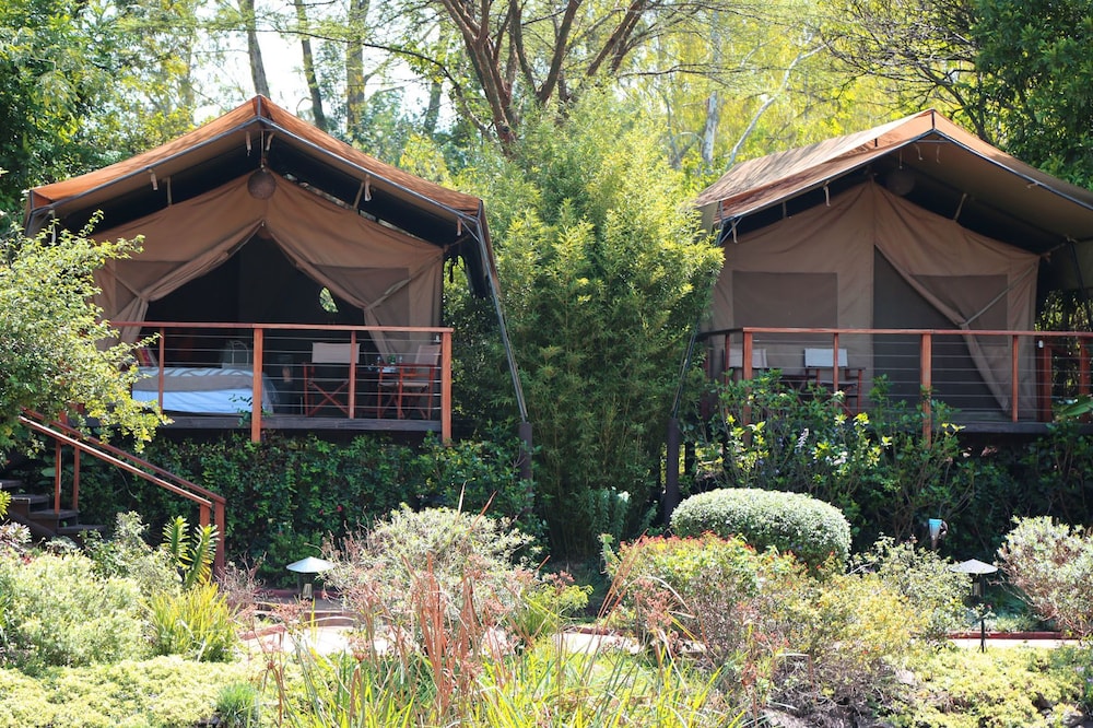 Wildebeest Eco Camp in Nairobi | 2024 Updated prices, deals - Klook ...