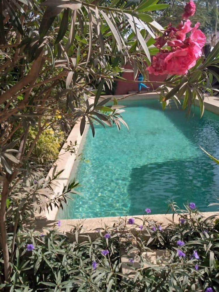 Hôtel Joal Lodge in | 2025 Updated prices, deals - Klook United States
