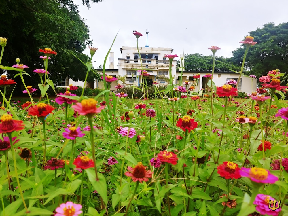 Sitima inn in Nkhotakota | 2023 Updated prices, deals - Klook United States