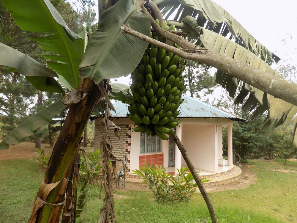 Bettina Resort Hotel in Bushenyi | 2024 Updated prices, deals - Klook ...