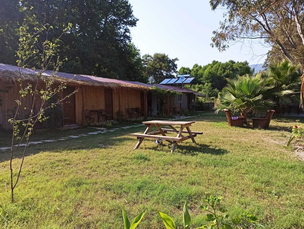 Daidala Life in Muğla | 2025 Updated prices, deals - Klook United States