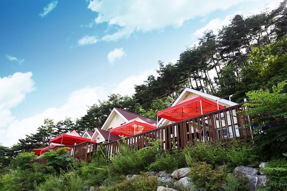 Dongkang Castle in Gangwon-do | 2025 Updated prices, deals - Klook ...