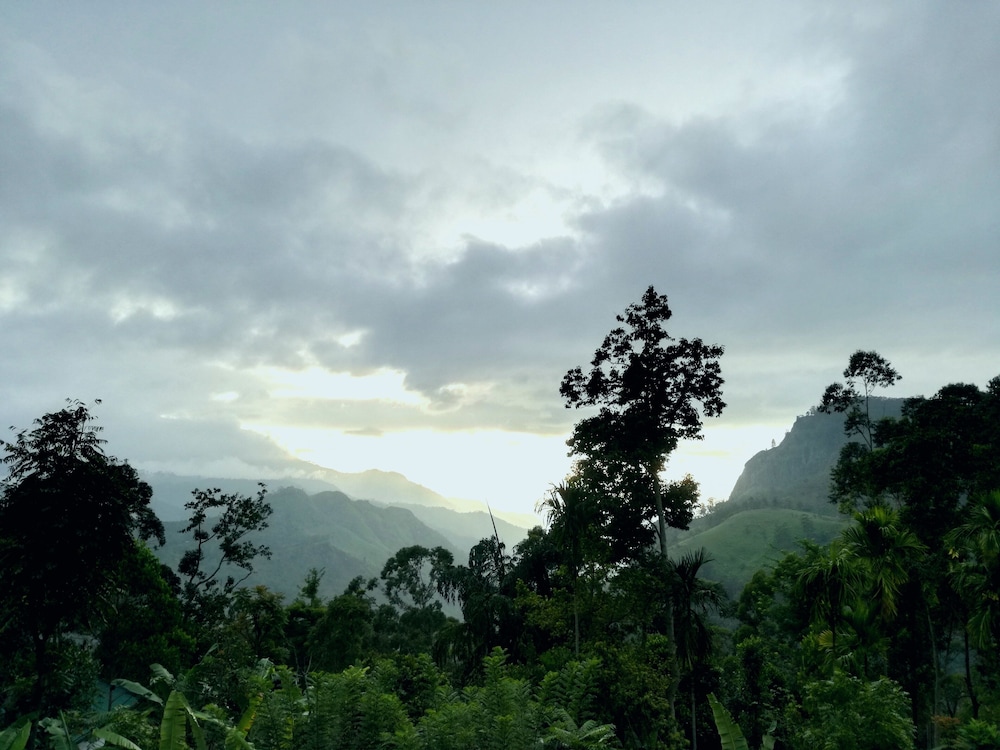 The Kanro Ella in Ella | 2025 Updated prices, deals - Klook United States