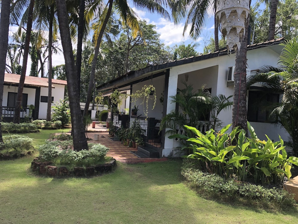 Piggy Hostel Vagator in North Goa | 2025 Updated prices, deals - Klook ...