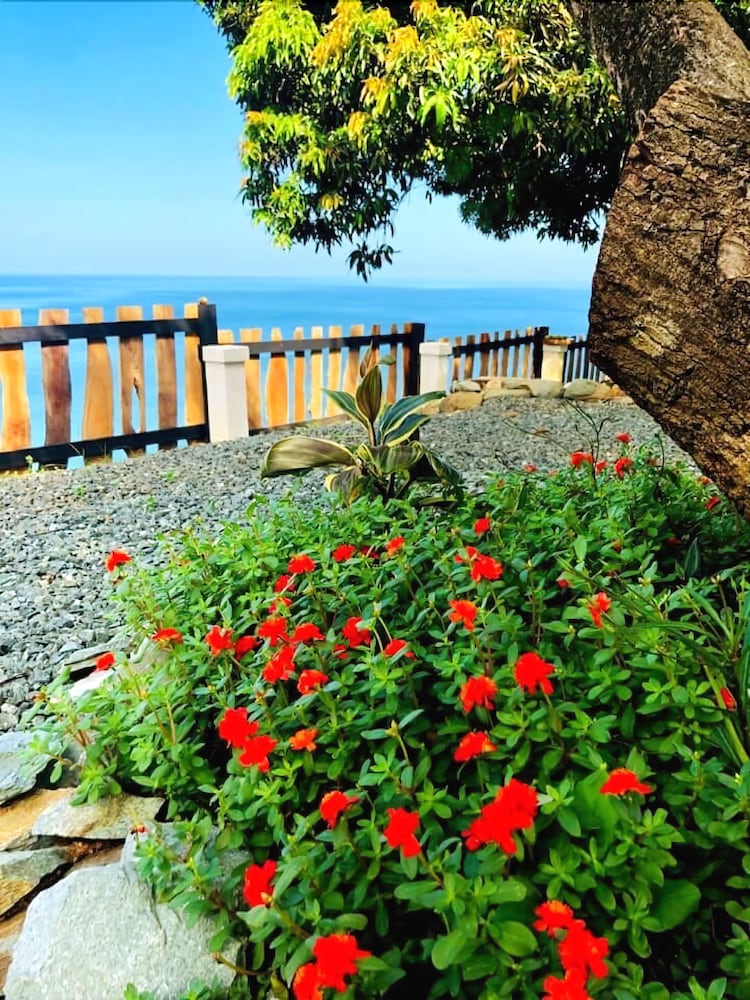 Castara Inn in | 2024 Updated prices, deals - Klook United States