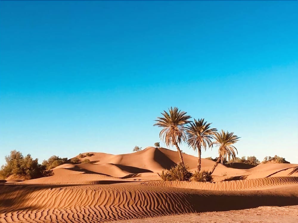 The Palm Grove in Zagora Province | 2024 Updated prices, deals - Klook ...