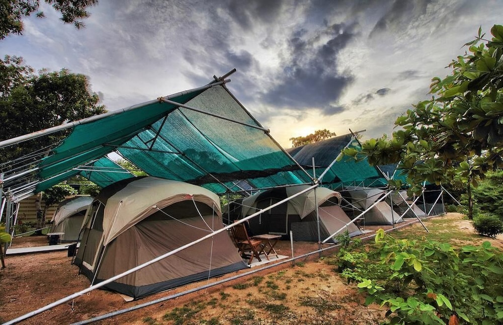 Walai Penyu Conservation Park in Sandakan | 2025 Updated prices, deals ...