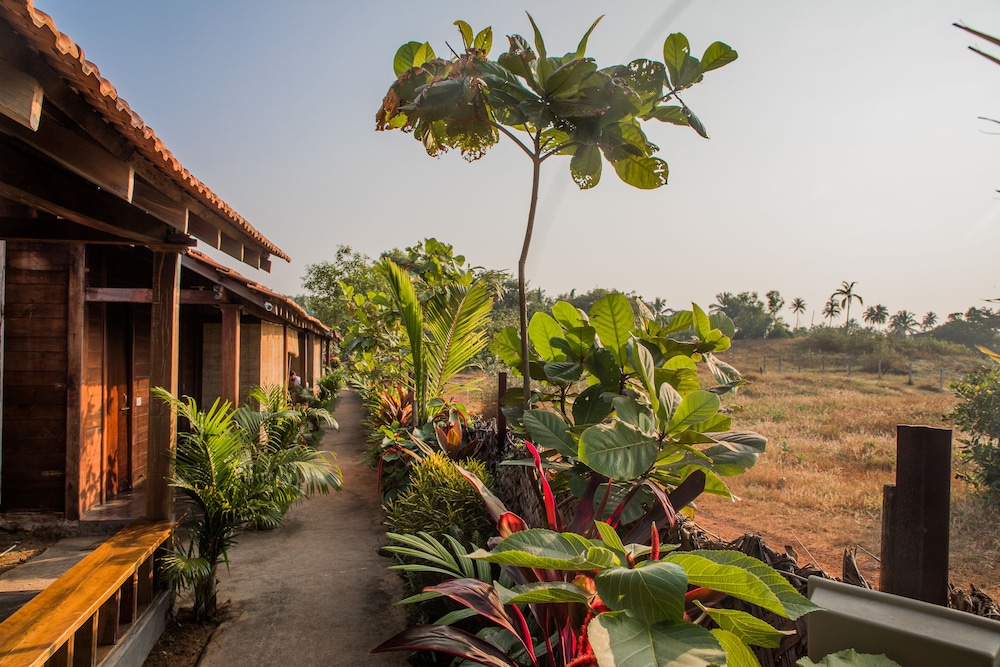 Artist Cottages in North Goa | 2024 Updated prices, deals - Klook ...