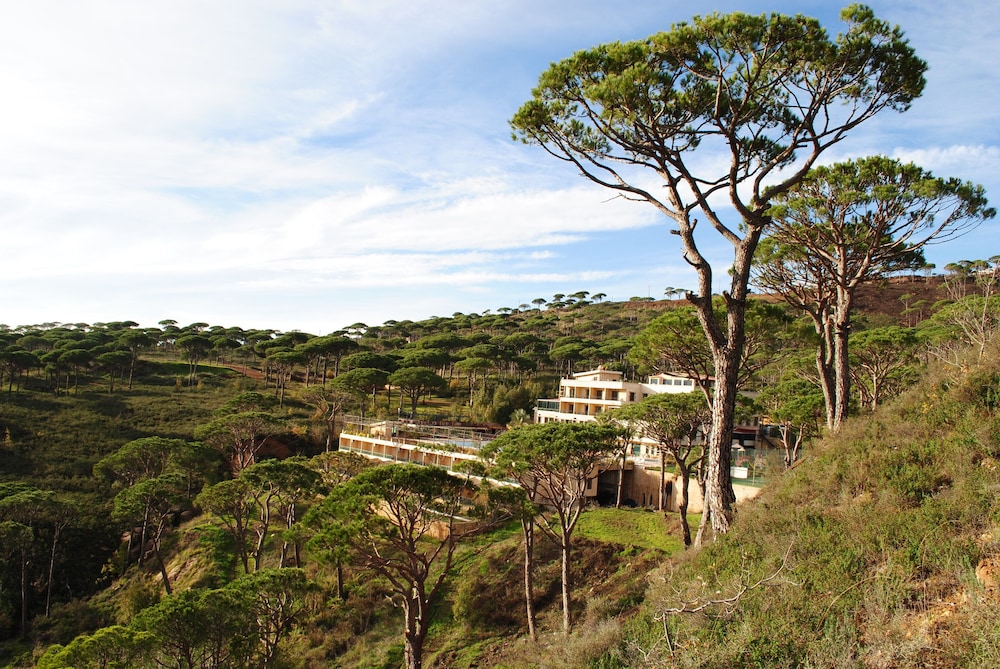 Pineland Hotel and Health Resort in | 2025 Updated prices, deals ...