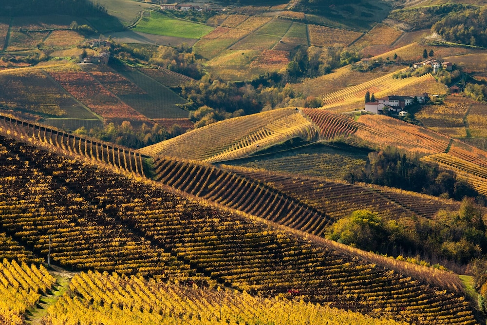 Ca del Gallo Masio in Masio | 2024 Updated prices, deals - Klook United ...