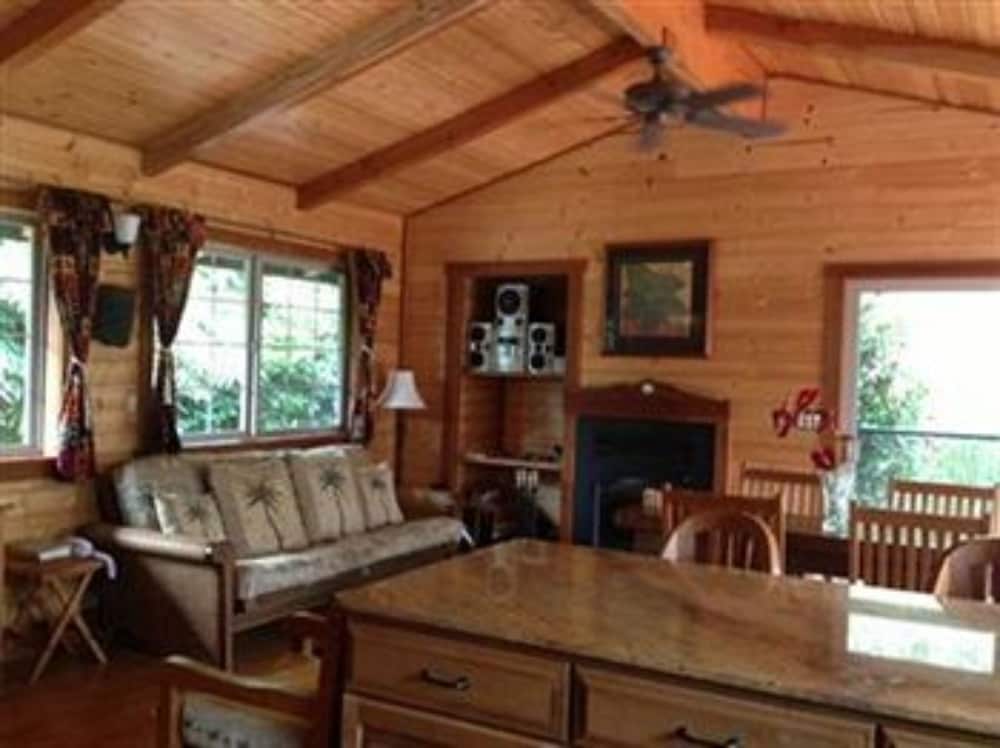 Volcano Big Tree Sanctuary in Volcano | 2025 Updated prices, deals ...