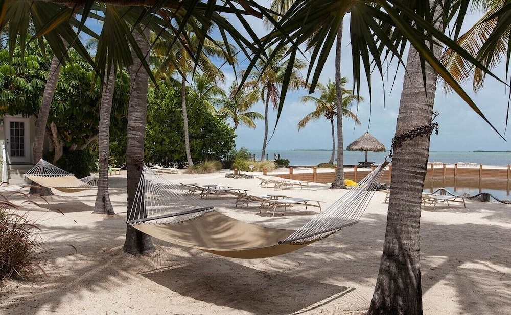 Kona Kai Resort and Gallery in | 2024 Updated prices, deals - Klook ...