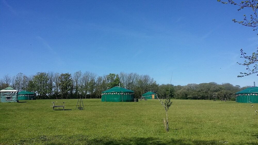 Sycamore Yurt Award Winning Wych Elm Glamping in | 2025 Updated prices ...