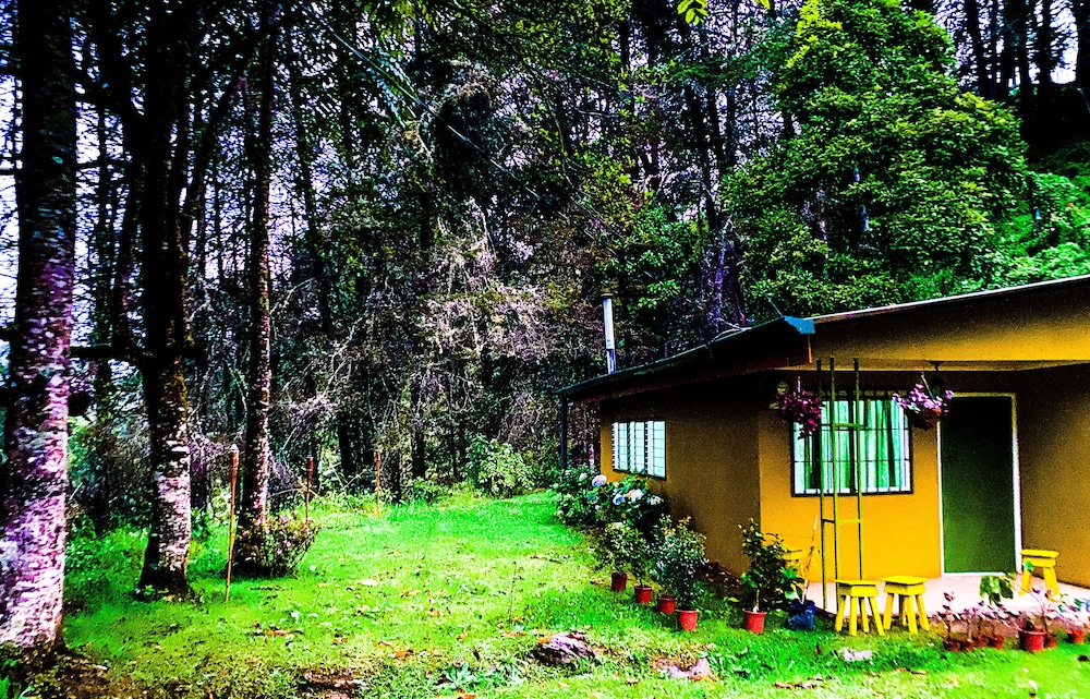 River Nest Lodge Costa Rica in Copey | 2024 Updated prices, deals ...