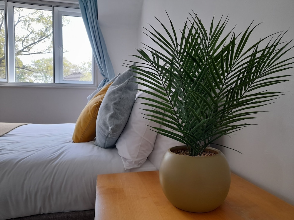 Cavendish Court in | 2025 Updated prices, deals - Klook United States