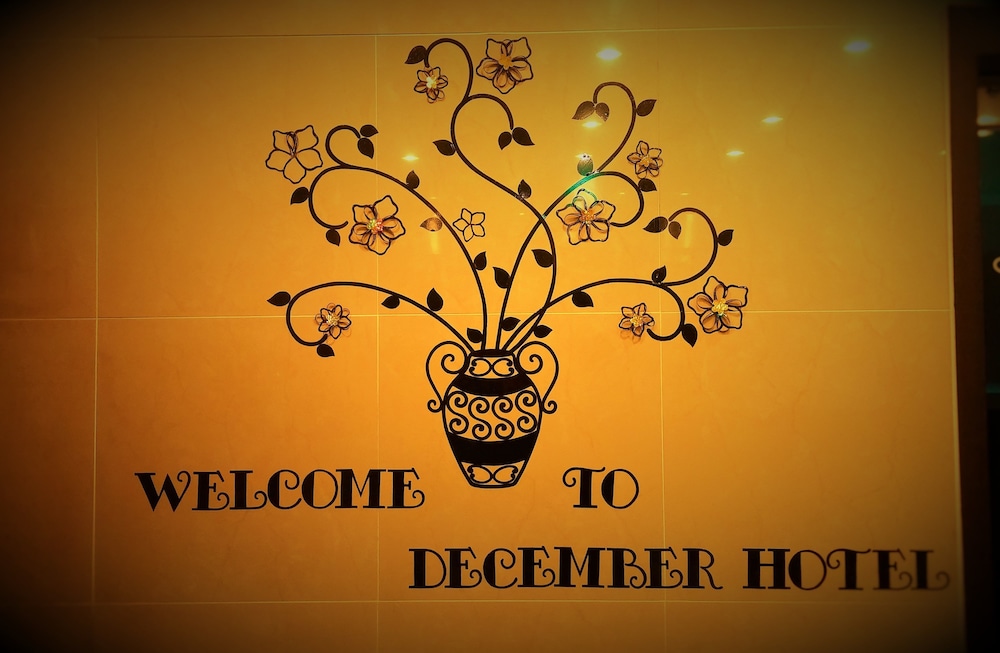 December Hotel in Jeju | 2025 Updated prices, deals - Klook United States