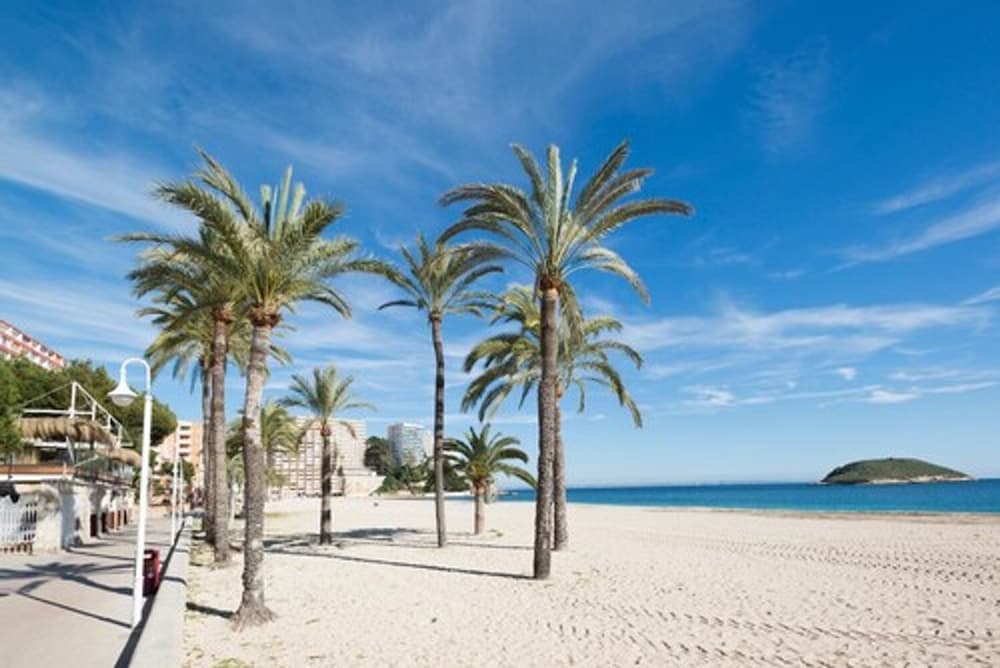 Magaluf Strip Apartments in Serra de Tramuntana | 2025 Updated prices ...