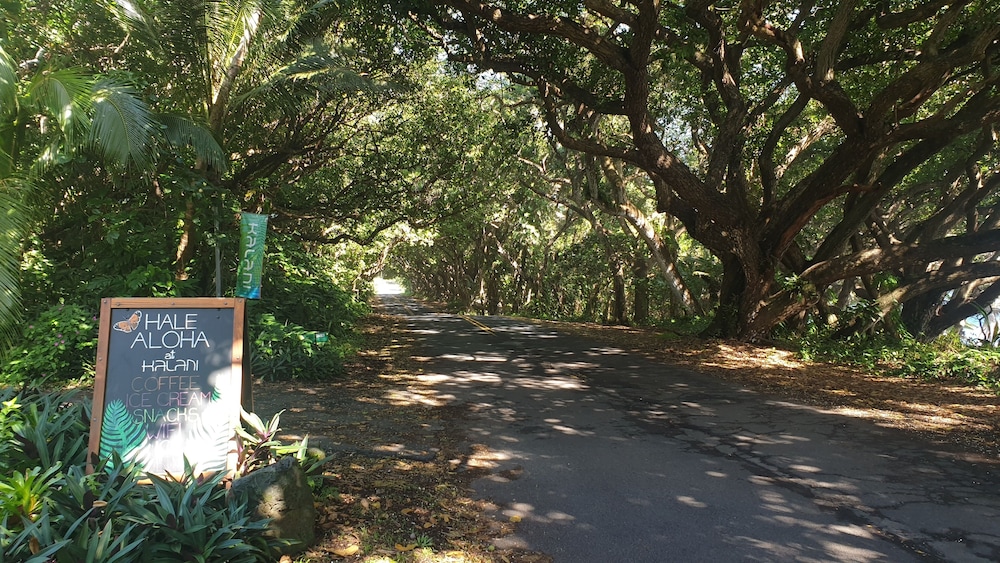 Kalani Oceanside Retreat in Pahoa | 2025 Updated prices, deals - Klook ...