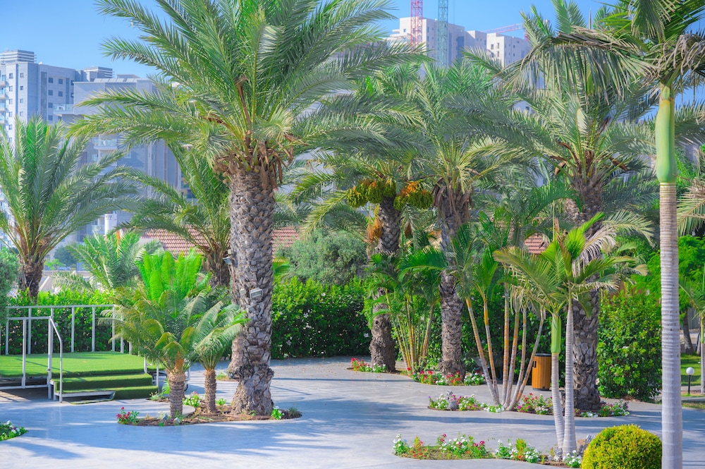 Agamim Hotel in Ashkelon | 2025 Updated prices, deals - Klook ...