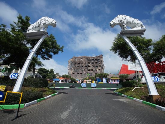 Pohon Inn Hotel in Batu | 2024 Updated prices, deals - Klook United States