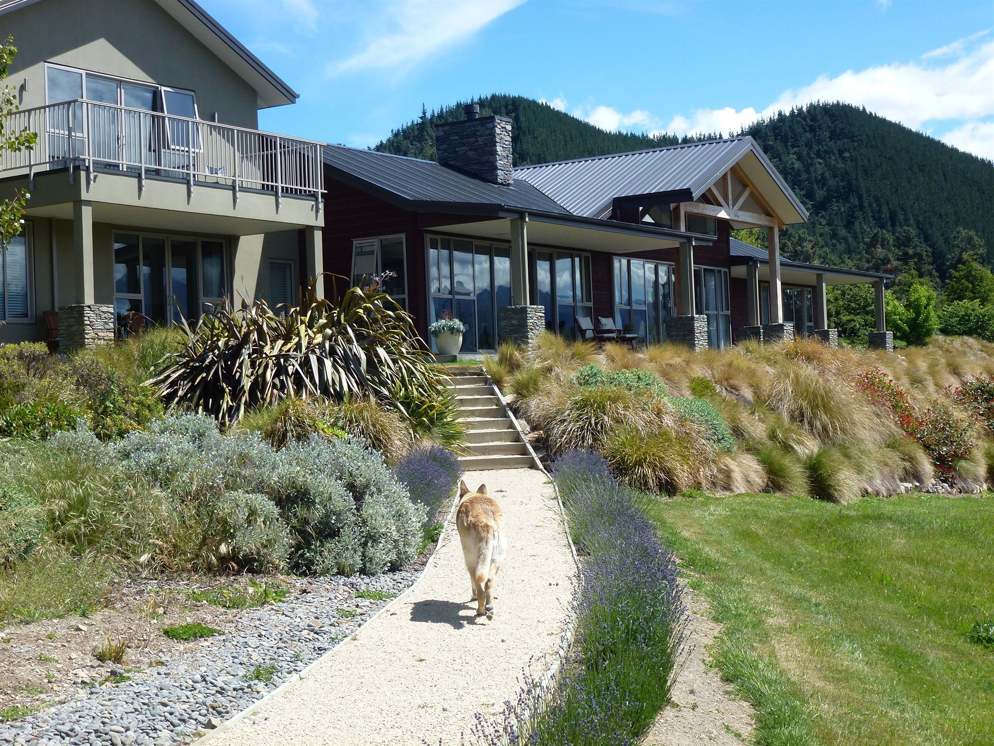 Amuri Estate Luxury Lodge in Hanmer Springs | 2025 Updated prices ...