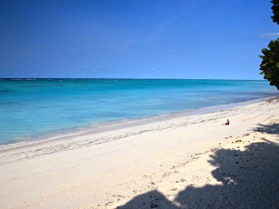 Sazani Beach Lodge in Zanzibar | 2025 Updated prices, deals - Klook ...