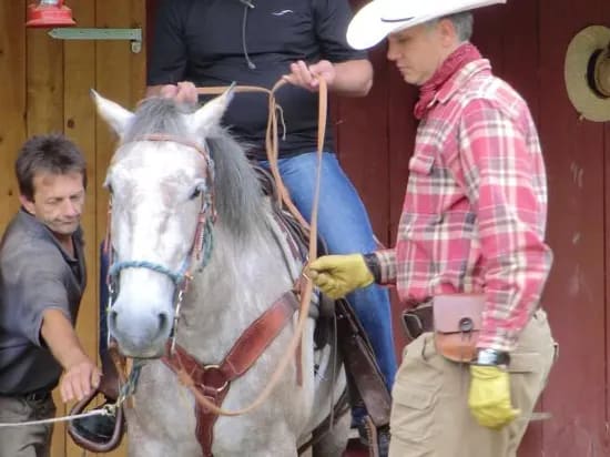 Linden Tree Retreat & Ranch in Grad Gospić | 2025 Updated prices, deals ...