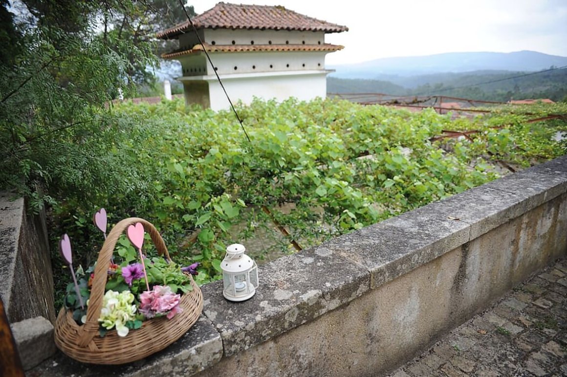 Vumba - The Gorongosa Suite in Pinhal Interior Norte | 2026 Updated ...