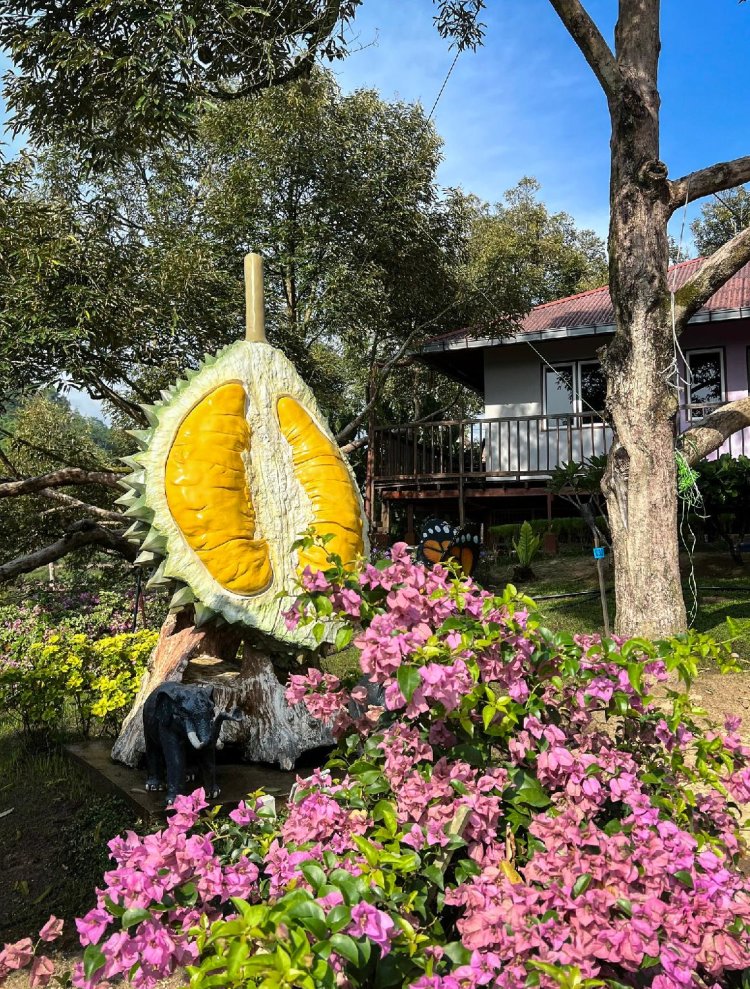 Bilut Hills - Eco Resort in Raub | 2026 Updated prices, deals - Klook ...