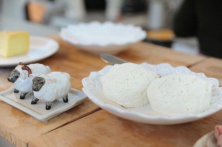 Vumba - The Gorongosa Suite in Pinhal Interior Norte | 2026 Updated ...